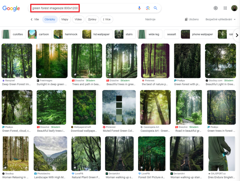 Google vyhledávání obrázků: tipy pro efektivnější vyhledávání ...